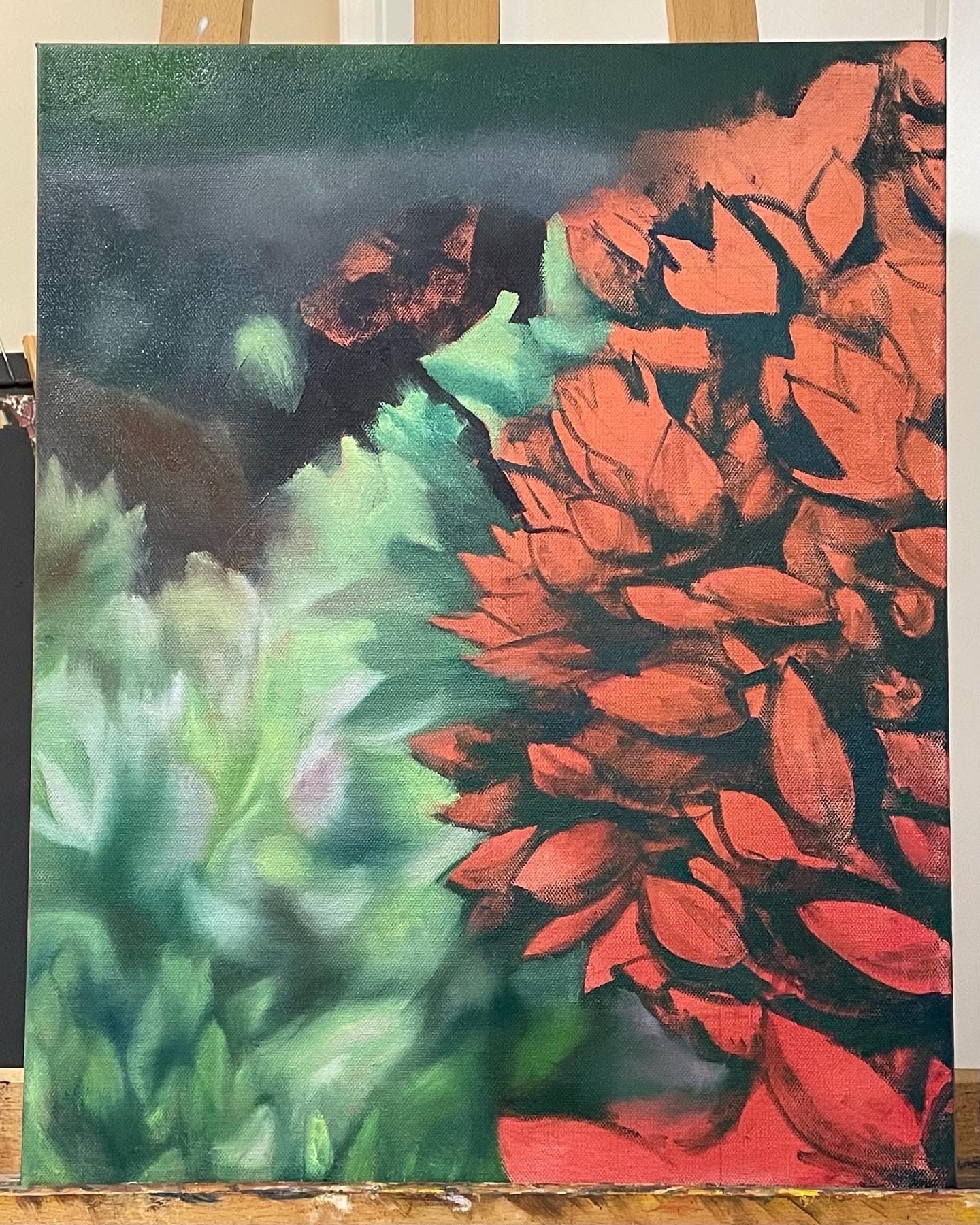 Bee and Sedum | Steve Thomason